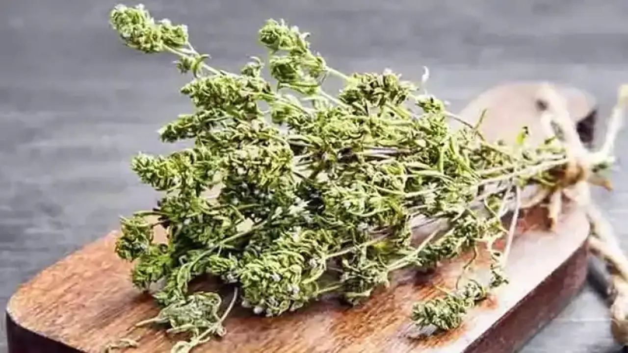 Kekik suyunun faydaları nelerdir? Kekik suyu ne işe yarar ...