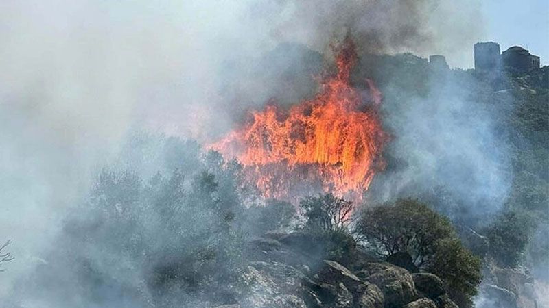 Çanakkale Ayvacık’ta Çıkan Yangın, Assos Antik Kenti’ne Sıçradı ...
